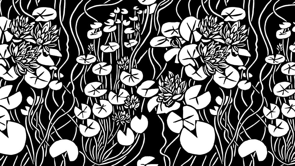Waterlily – Susie Hetherington